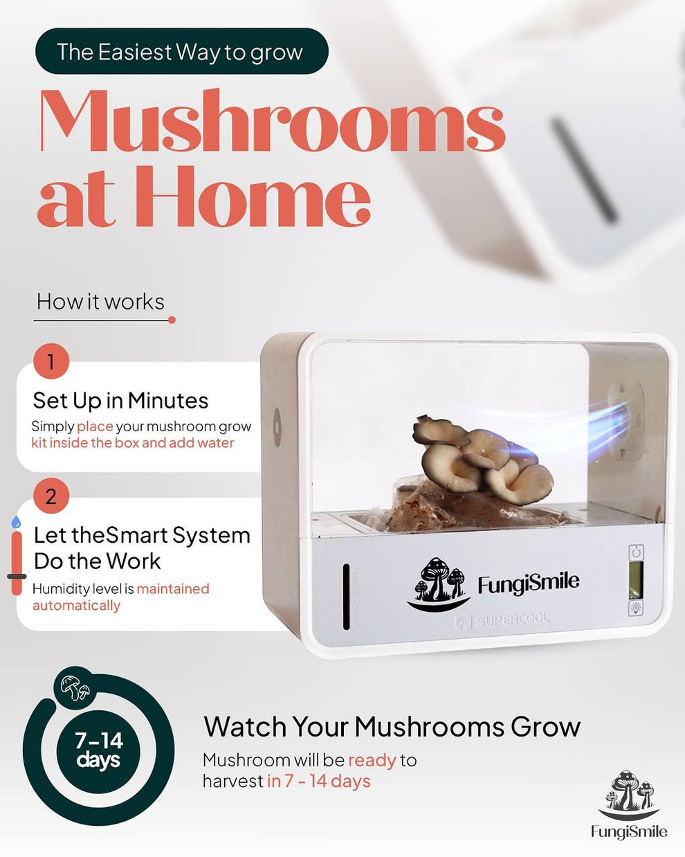 Best Mushroom Growing Kit, Device, Machine – Fungismile