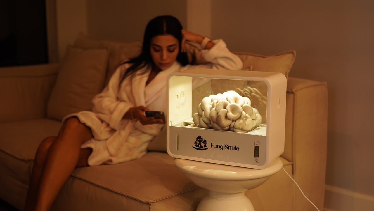 Best Kits to Grow Mushrooms Easily at Home or Indoors – Fungismile
