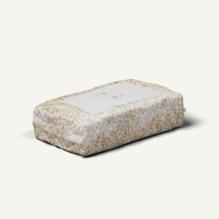 Best Kits to Grow Mushrooms Easily at Home or Indoors – Fungismile